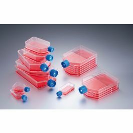 Cell culture flask with standard plug cap 25 mL Falcon® -12,5cm2