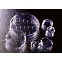 Petri dish 150x25mm INTEGRID grid 20mm