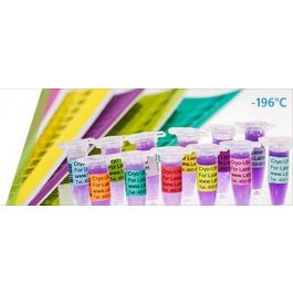 Cryo labels - 24x13mm, 2380 pieces - mix
