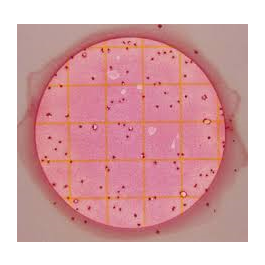 Petrifilm 3M E.Coli plate