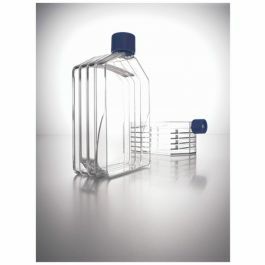 Multi-Flask Falcon,3-layer,525cm²,vented cap